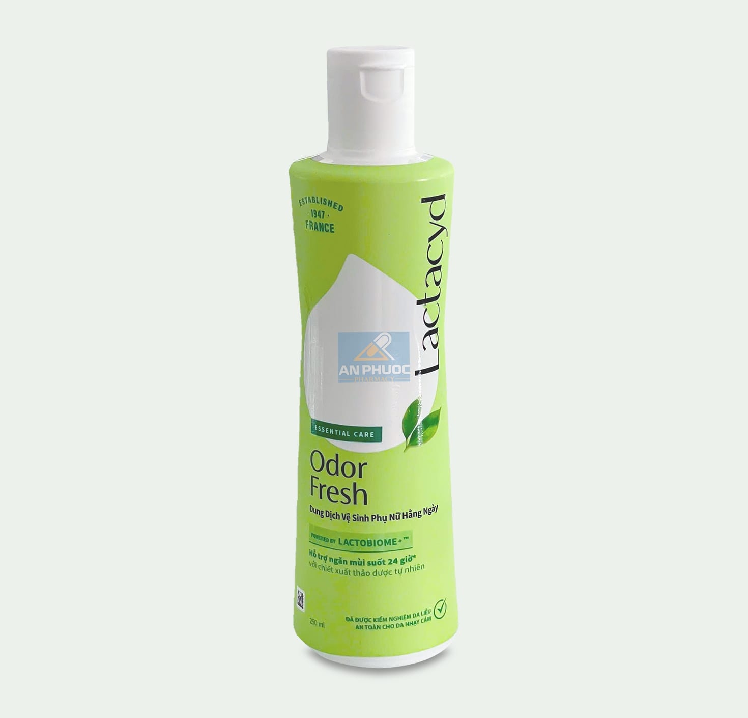 Dung Dịch Vệ Sinh Phụ Nữ Lactacyd Odor Fresh® |【Chai 250ml】