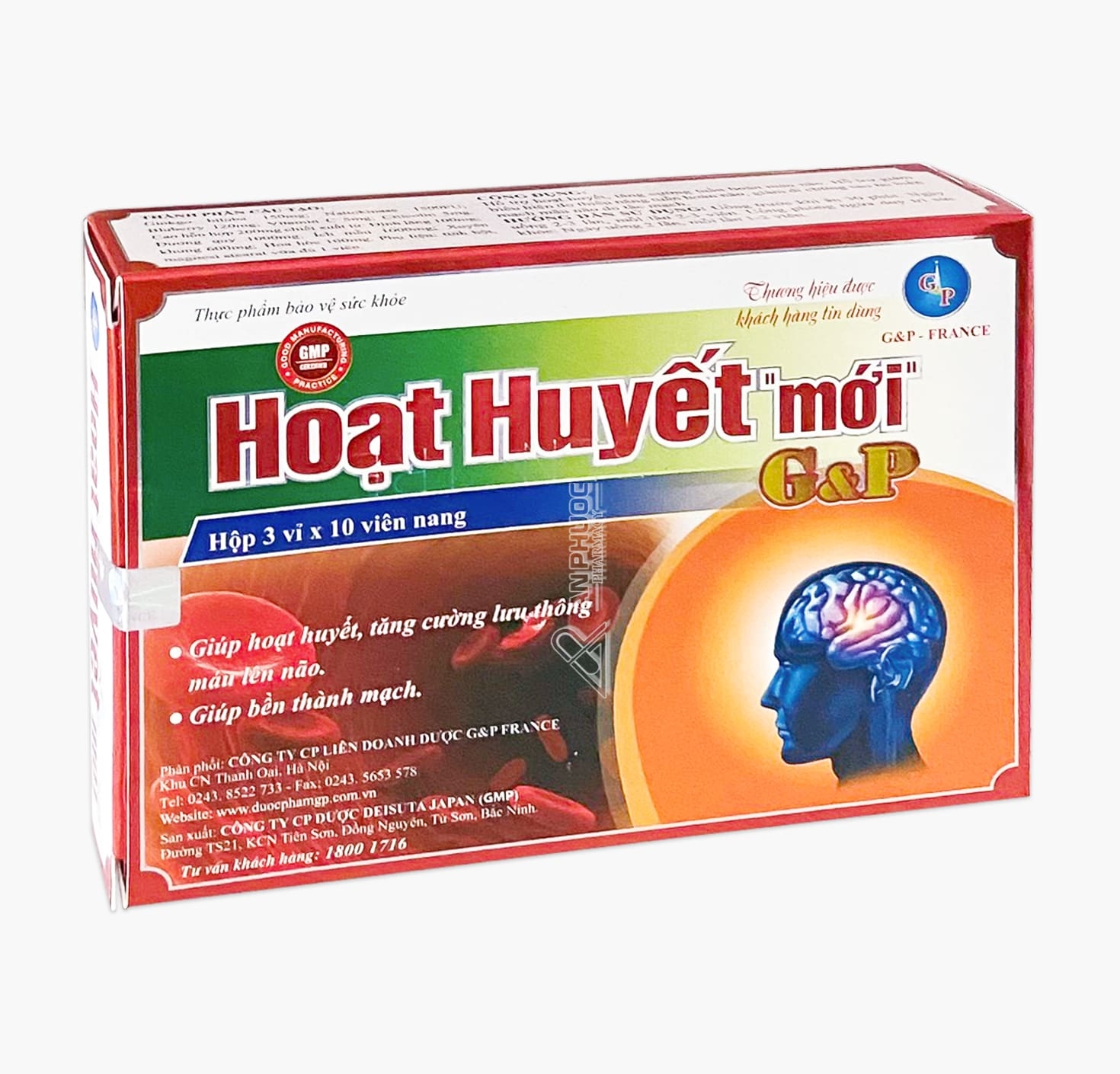 Hoạt Huyết "Mới" G&P ┃ ☘ Tăng Cường Lưu Thông Máu Lên Não