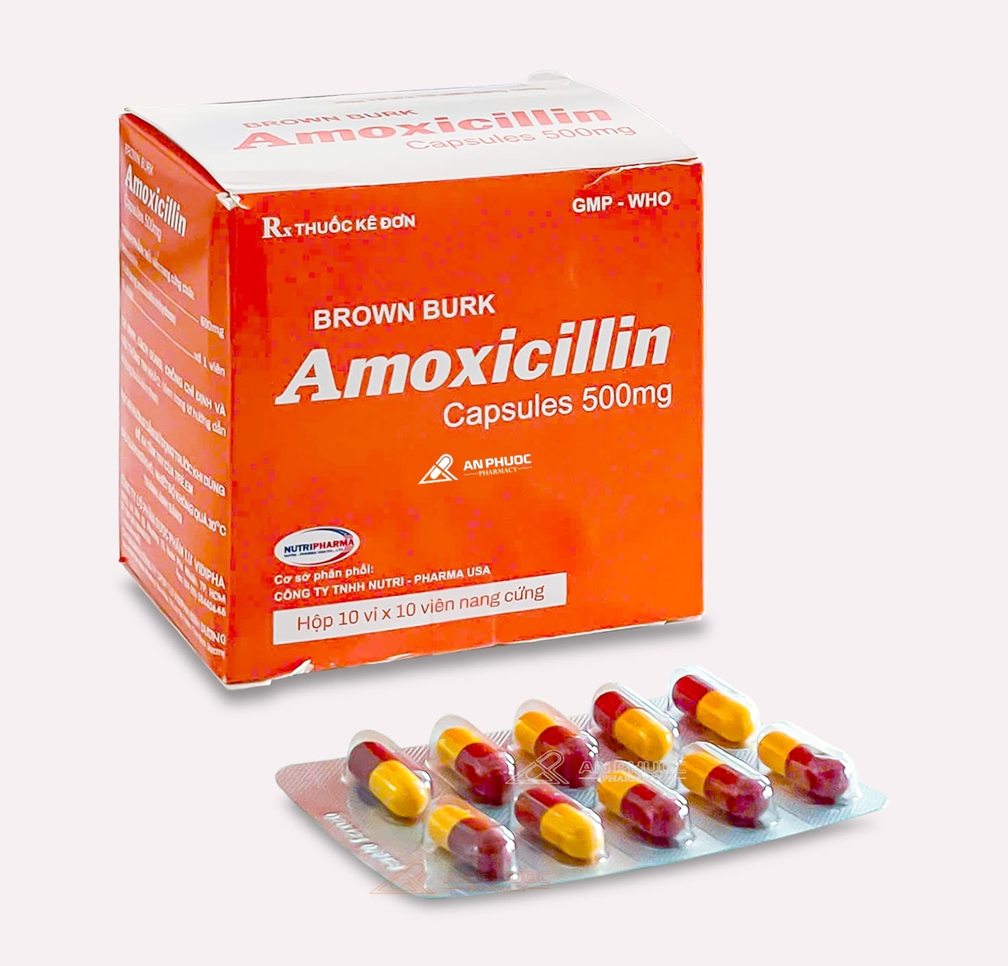 Thuốc Amoxicillin® 500mg | Brown Burk |【Hộp 100 viên】